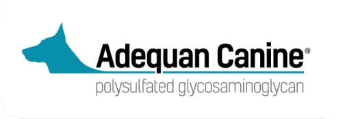 Importance of FDA Approval | BetaVet® (betamethasone sodium phosphate ...