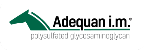 Importance of FDA Approval | BetaVet® (betamethasone sodium phosphate ...